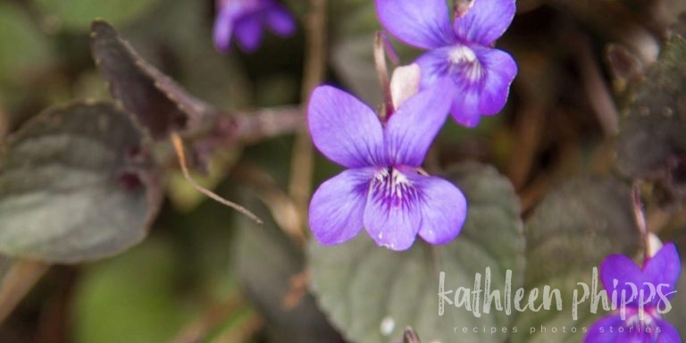 Violet Lemon Loaf Cake | Kathleen Phipps
